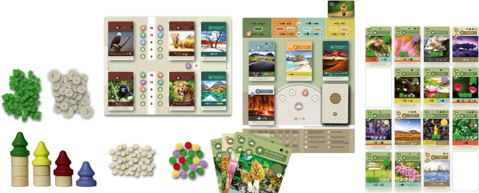 Earth (VF) - LilloJEUX