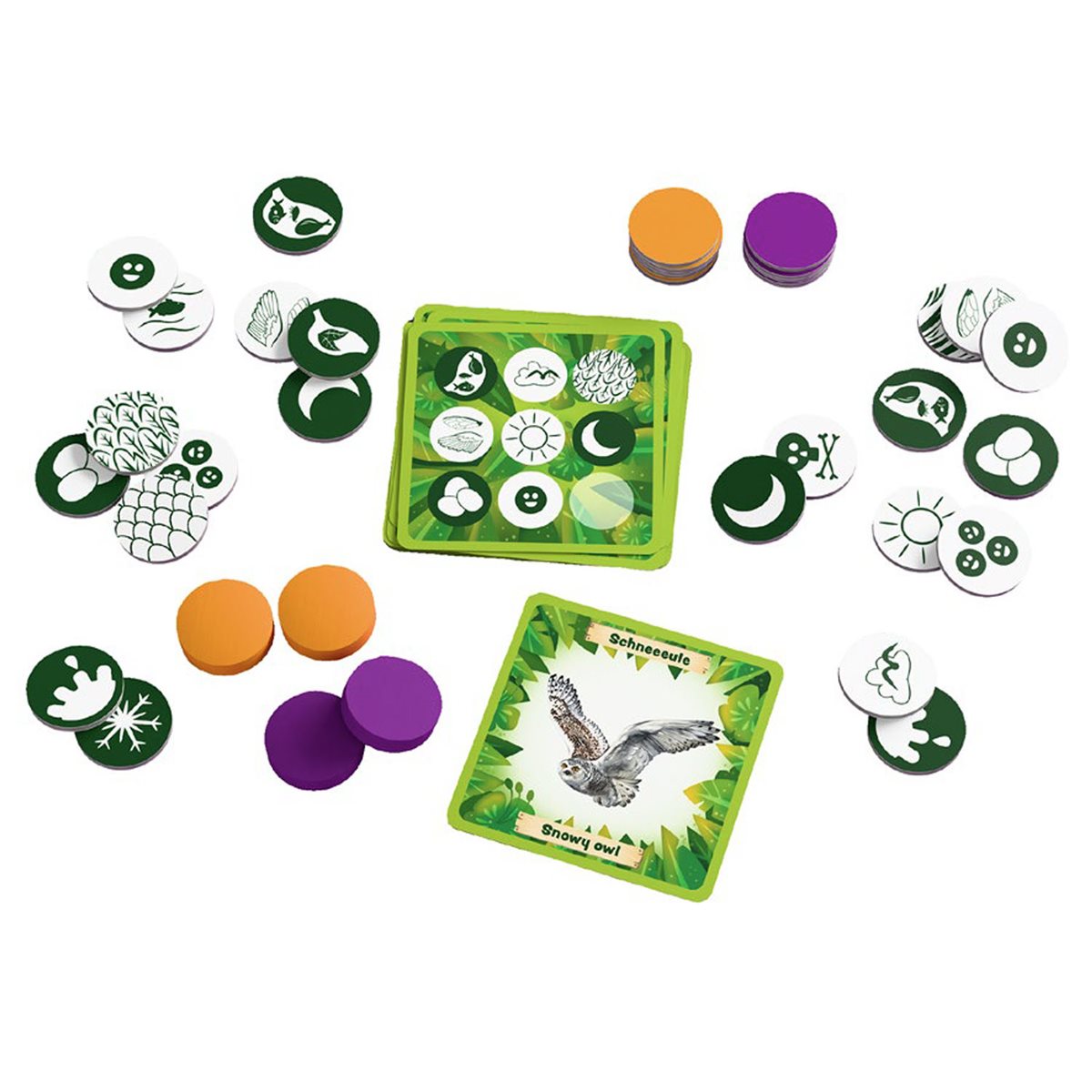 Bingo des Animaux du Monde (ML) - LilloJEUX